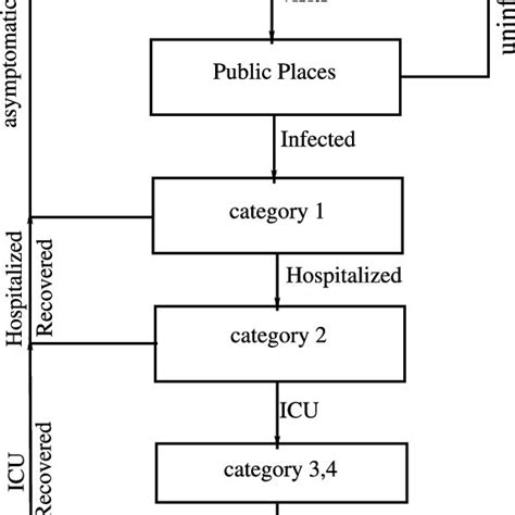 A Flow Chart Explaining The Transitions Between Different Categories Of Download Scientific
