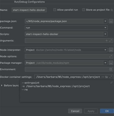 Rundebug Configuration Npm Jetbrains Rider Documentation