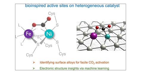 High Throughput Computational Screening Of Bioinspired Dual Atom Alloys