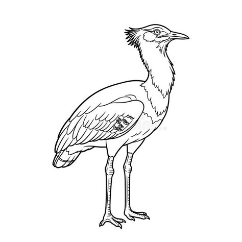 Regal Anime Style African Kori Bustard Coloring Page Outline Fun