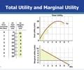 Chapter 7 Utility Maximization Flashcards Quizlet