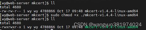 局域网安全证书解决方案mkcert Csdn博客