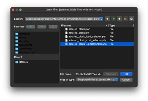 Intact CLI Users Manual Intact Simulation Documentation