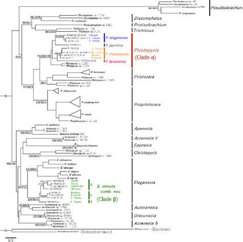 Ml Tree Based On The 28s Coi Dataset 1075 Bp In Length Ultrafast