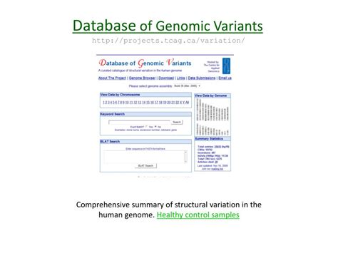 Ppt Copy Number Variants Detection And Analysis Powerpoint