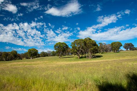 Agricultural Research Federation Agrefed