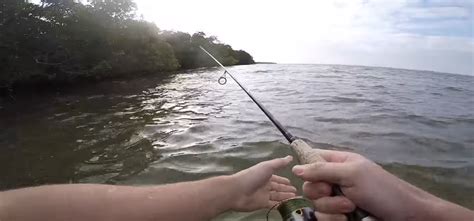 How To Make A Finesse Rig For Fishing Snook Pro Fishing Rigs