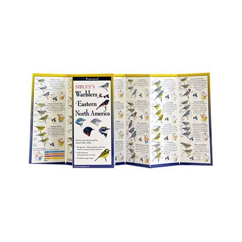 Jp ウォータースティーブン・ルワーズ シブリーズ イースト・ナのウグイス デビッド・アレン・シブリー作 We 155