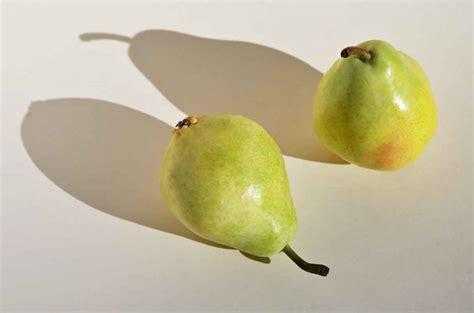 Blithe Definition And Meaning