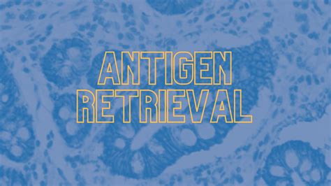 Unmasking The Hidden Optimizing Antigen Retrieval For Immunohistochem