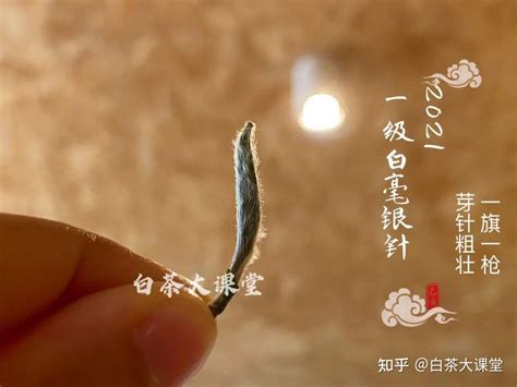 白毫银针是“嫩芽型”白茶，也能用沸水冲泡？老茶客将道理说明白 知乎