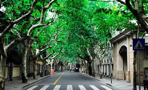 Shanghai Wukang Road Historic Walking Place Highlights Maps