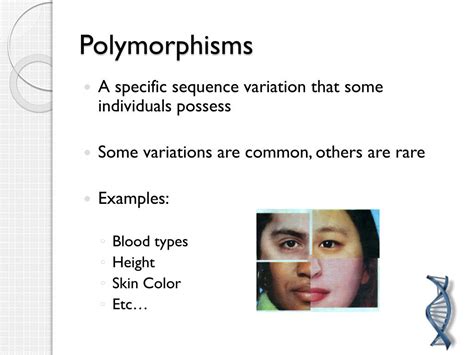 Ppt Methods In Genome Wide Association Studies Norú Moreno