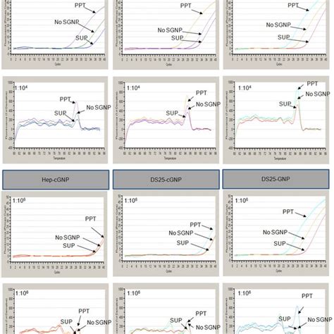 Representative Of Simplexa Dengue Real Time Rt Pcr Amplification Curves Download Scientific