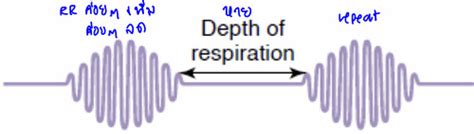 Abnormal Breathing Patterns Disease Flashcards Quizlet