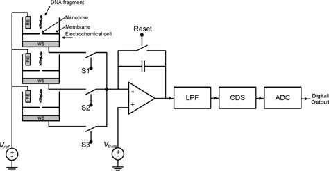 Figure 1 From Nanopore Based Dna Sequencing Sensors And Cmos Readout Approaches Semantic Scholar