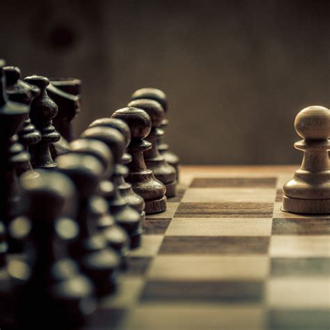 ხონის ჭადრაკის ფედერაცია