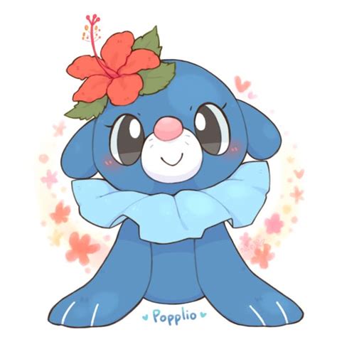 Popplio Popplio Pokemon Cute Pokemon Wallpaper Pokemon Alola
