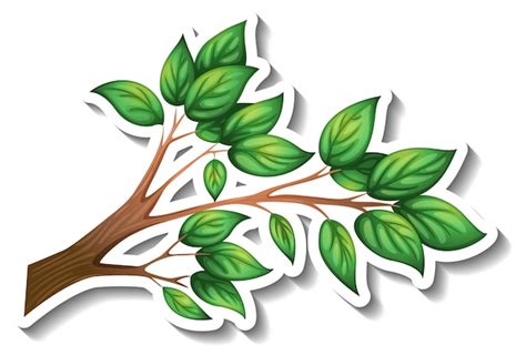 Imágenes De Dibujo Hojas De Arbol Descarga Gratuita En Freepik