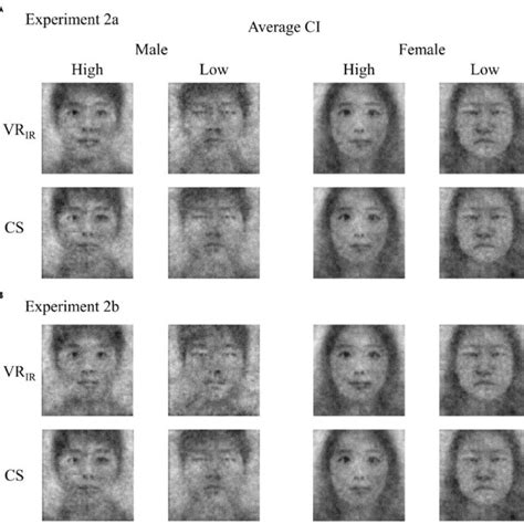 A Base Faces And Examples Of Stimuli Pairs Used In The Reverse Download Scientific Diagram