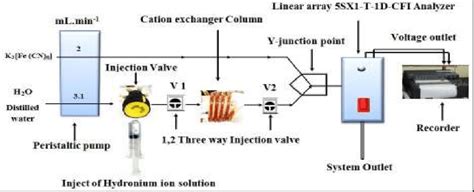 Schematic Diagram Of Flow Injection Analysis System Used For Download Scientific Diagram