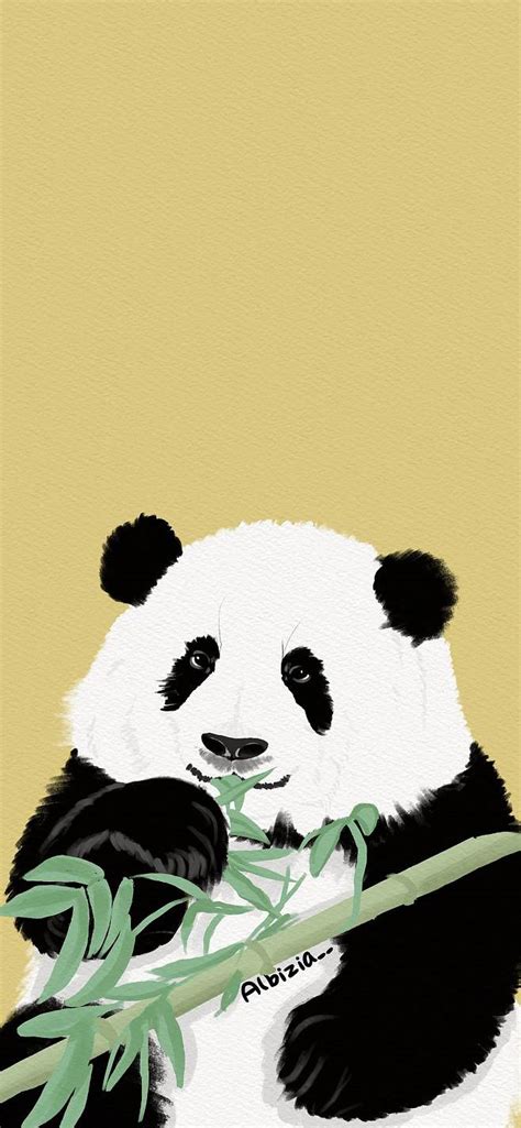 可爱熊猫插画壁纸花花果赖 今日头条