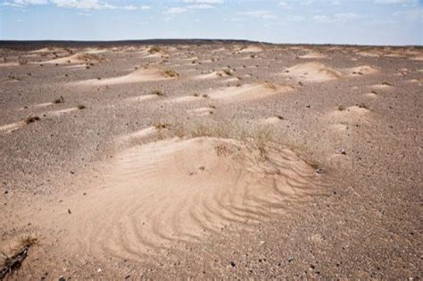 “Цөлжилт газрын доройтол бидний амьдралд” үзэсгэлэн толилуулав