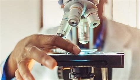 دانشگاه علوم پزشکی ایلام سازمان بین‌المللی دانشگاهیان Isic