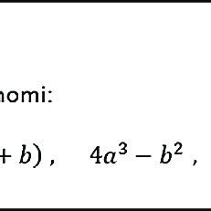 Examples Of What A Monomial Is In IT4 Download Scientific Diagram