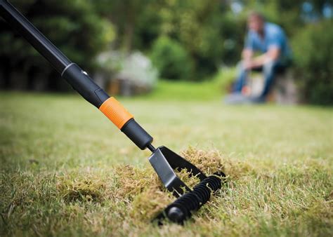 Manual Aerator Rake At Stella Gooseberry Blog
