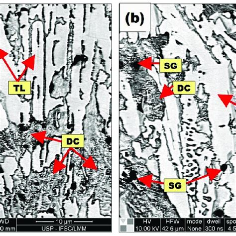 Mmc Layers Produced From A Sictife And B Siccrfe Slurry Download Scientific