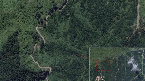 Planet Skysat Imagery Replacing Traditional Airborne Imagery For Forest