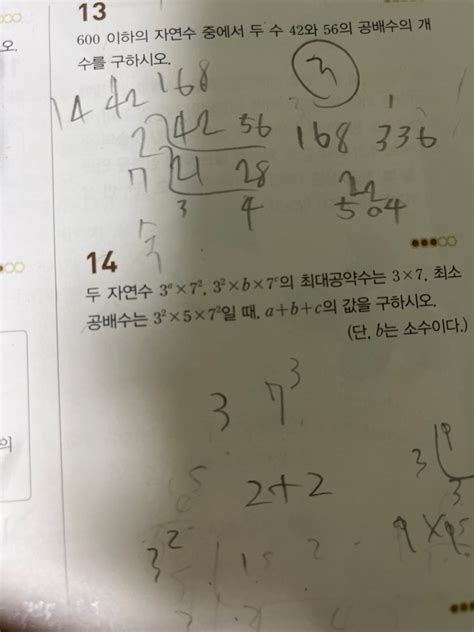 수학 소인수분해 지식in