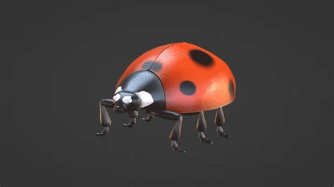 3d Model Ladybug Rigged And Animated Turbosquid 2290674