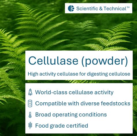 Cellulase Powder Scientific And Technical Limited