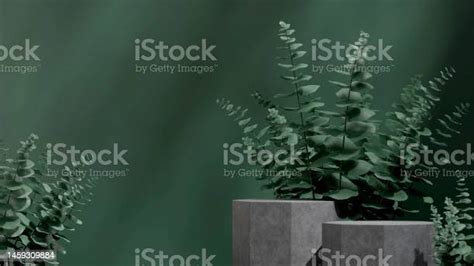 녹색 유칼립투스 잎이 있는 콘크리트 연단 풍경 배경의 3d 렌더링 모형 템플릿 0명에 대한 스톡 사진 및 기타 이미지 0명 3차원 형태 강단 Istock
