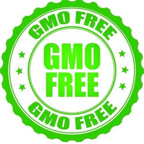 Gmo Certification Services At Rs 20000certificate In New Delhi Id