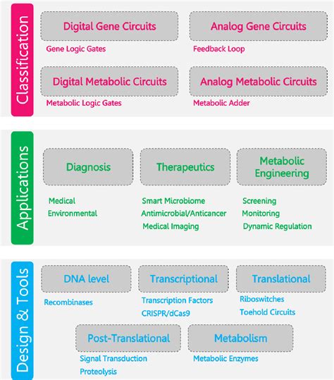 Figure 11 From Synthetic Metabolic Circuits For Bioproduction Biosensing And Biocomputation