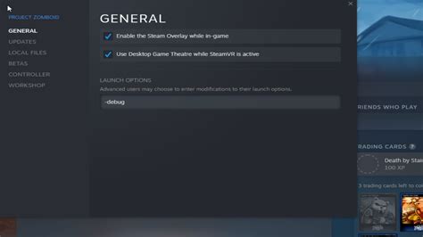 How To Enable Debug Mode In Project Zomboid Pro Game Guides