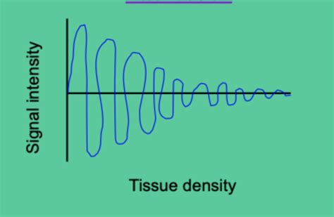 Xray Flashcards Quizlet