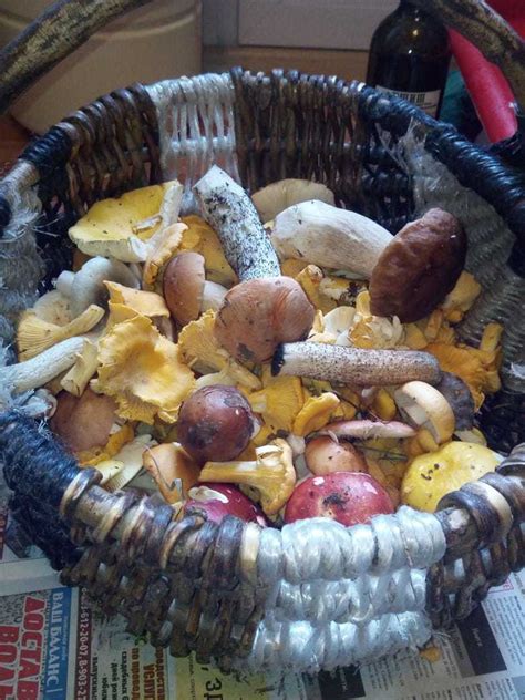 Первые и пока немного