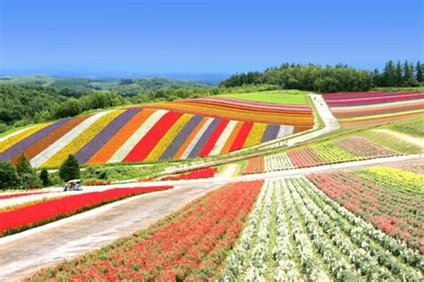 【厳選】道民が選ぶ北海道夏の絶景23選!解説付き 北海道グルメ・観光情報northsmile 【厳選】道民が選ぶ北海道夏の絶景23選!解説付き 北海道グルメ・観光情報northsmile