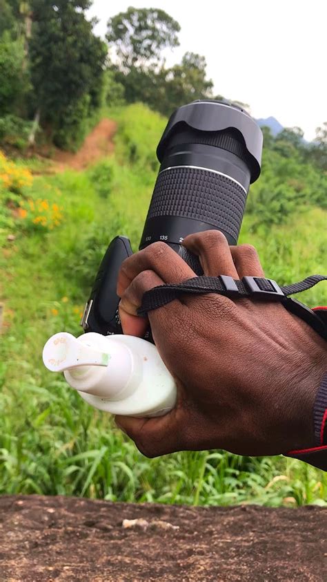 පොටො ටිකත් බලලා සකරබයිසුත් කරන්න 😴 Photography Nature Viralshorts Youtube