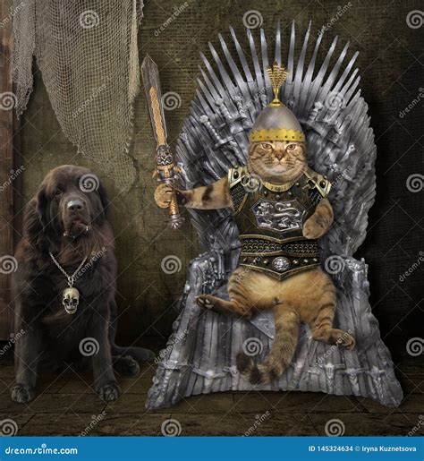 Кот на троне утюга и собаке Стоковое Фото изображение насчитывающей ратник викинг 145324634