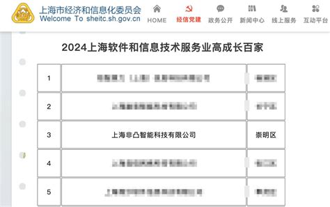 非凸科技荣登 2024上海软件和信息技术服务业高成长百家”榜单 个人文章 Segmentfault 思否