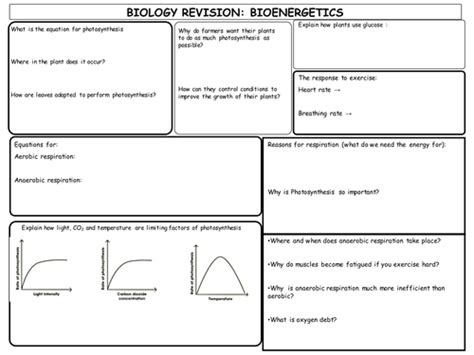 Aqa New Gcse Bioenergetics Revision Teaching Resources