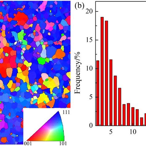 Diagram Of The Deformation Process Of Recrystallized Grains Download