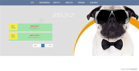 计算机毕业设计系列基于ssm的宠物领养管理系统基于ssm的宠物管理系统的项目发布介绍 Csdn博客