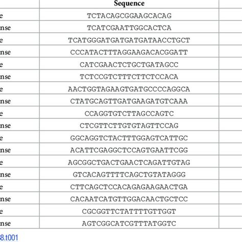 Primer Sequence The Primers Were Designed Based On Reported Sequences Primer Sequence The Primers Were Designed Based On Reported Sequences