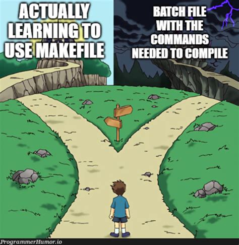 HobbyistDilemma ProgrammerHumor Io